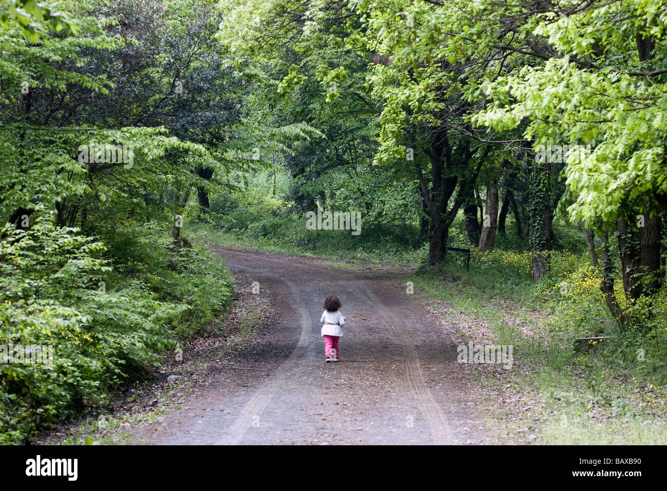 kid is running thorough the forest Stock Photo - Alamy