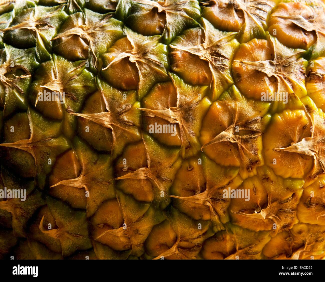 Close up pineapple skin hi-res stock photography and images - Alamy