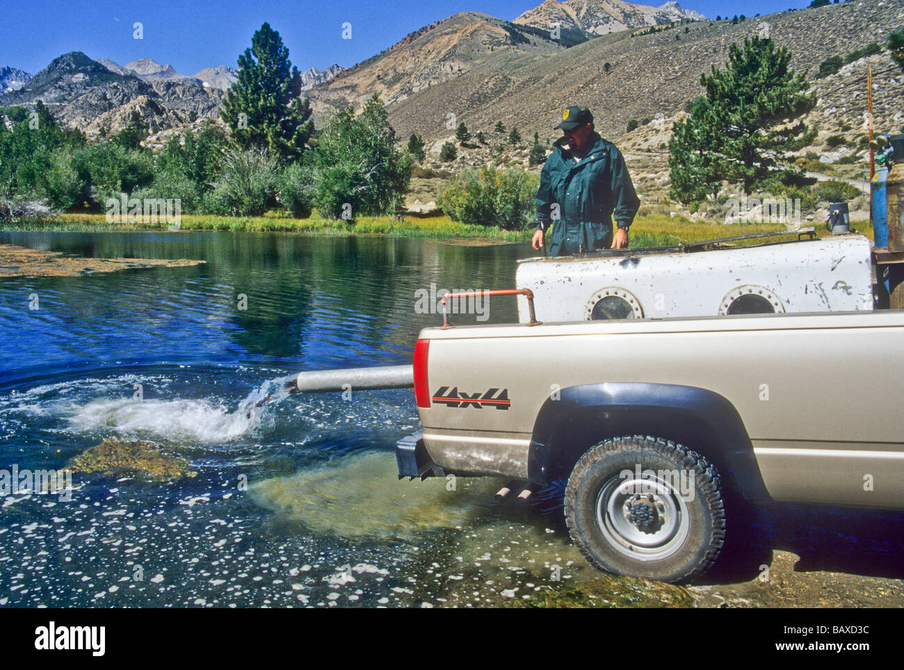 Sierra fish trout plant truck lake release government sport mountain ...