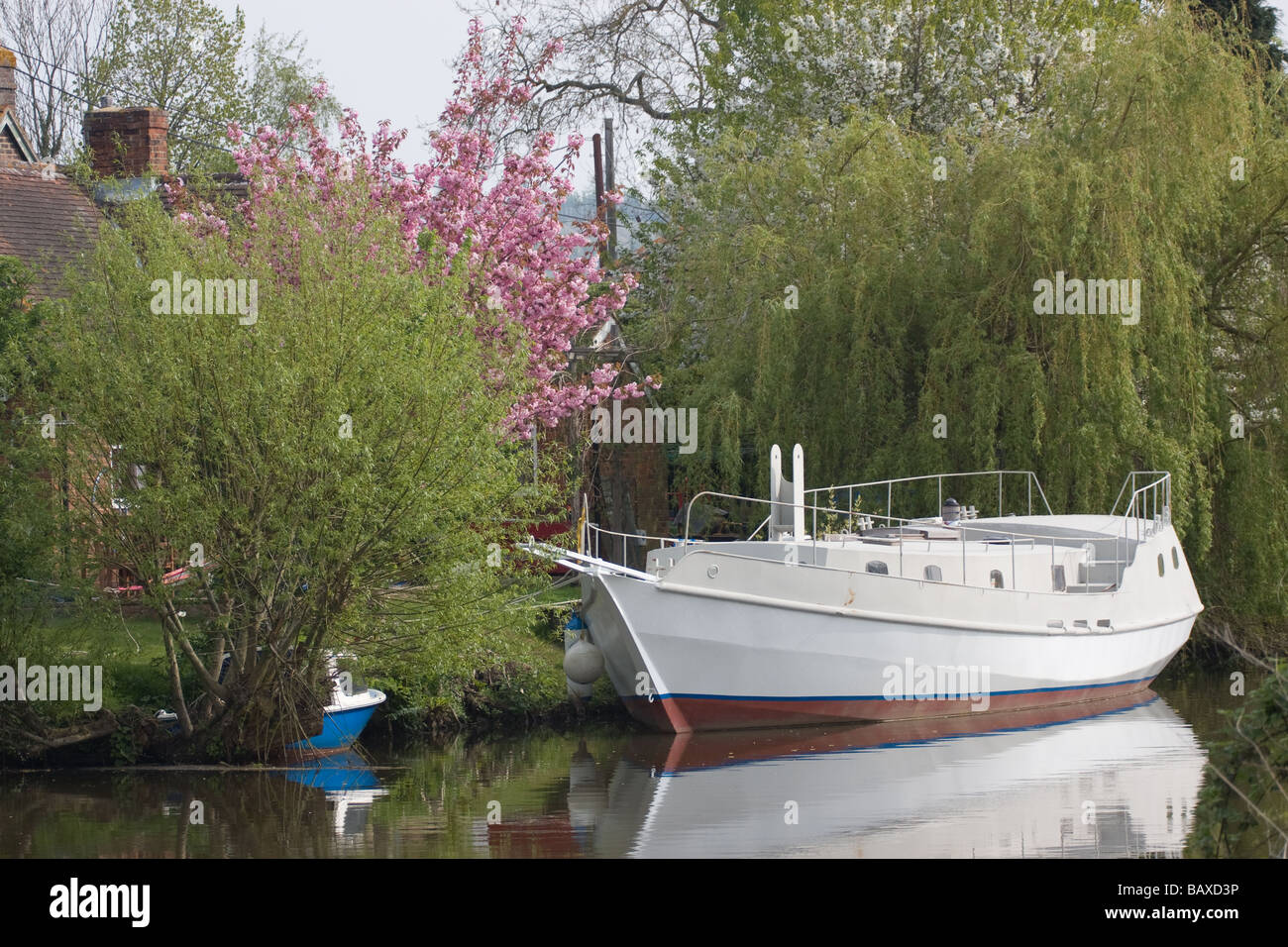 Kent spring flowers hi-res stock photography and images - Alamy