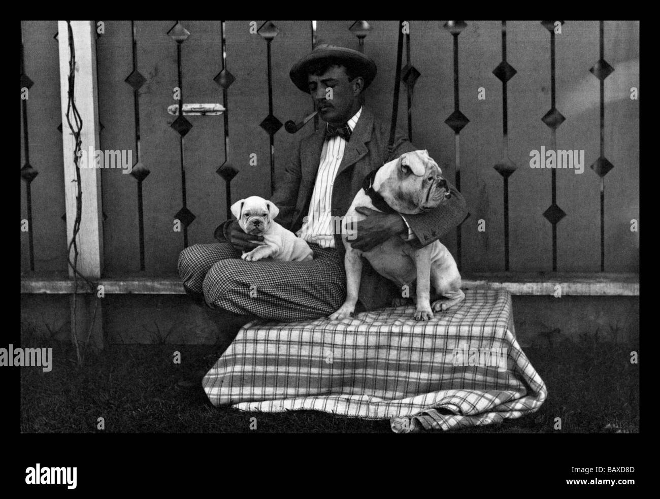 Master and dogs hi-res stock photography and images - Alamy