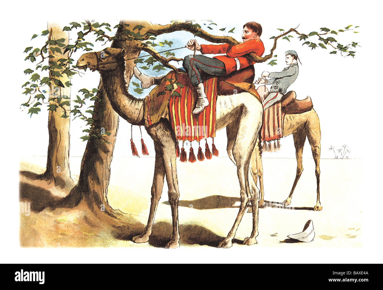 Troubles with a Camel Stock Photo - Alamy