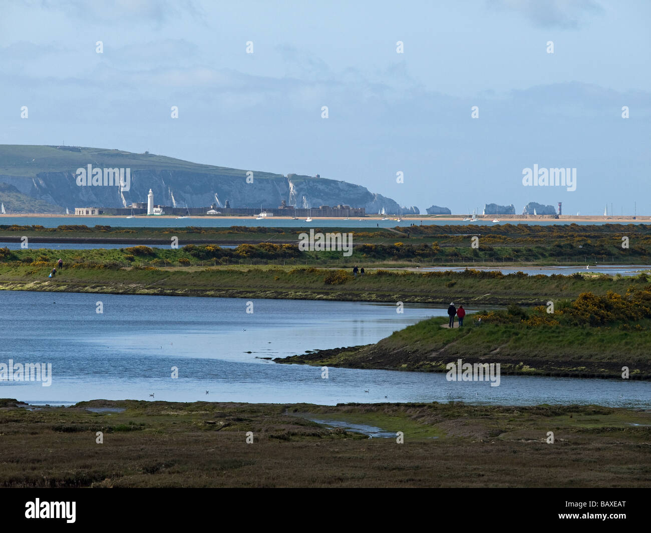 View across Pennington Marshes to Hurst Castle and The Needles Isle of ...
