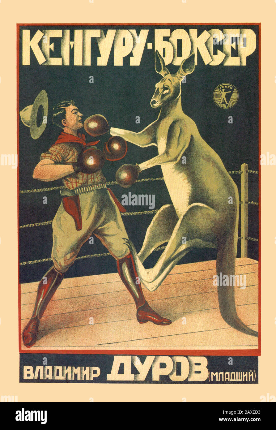 Circus kangaroo boxing hi-res stock photography and images - Alamy