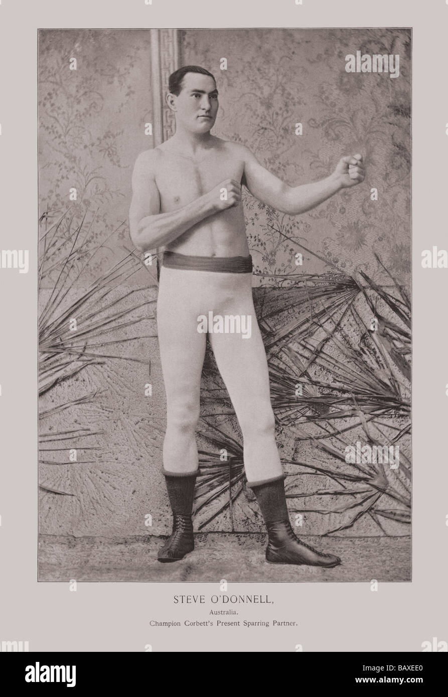 Steve O'Donnell - Australian Boxer Stock Photo - Alamy