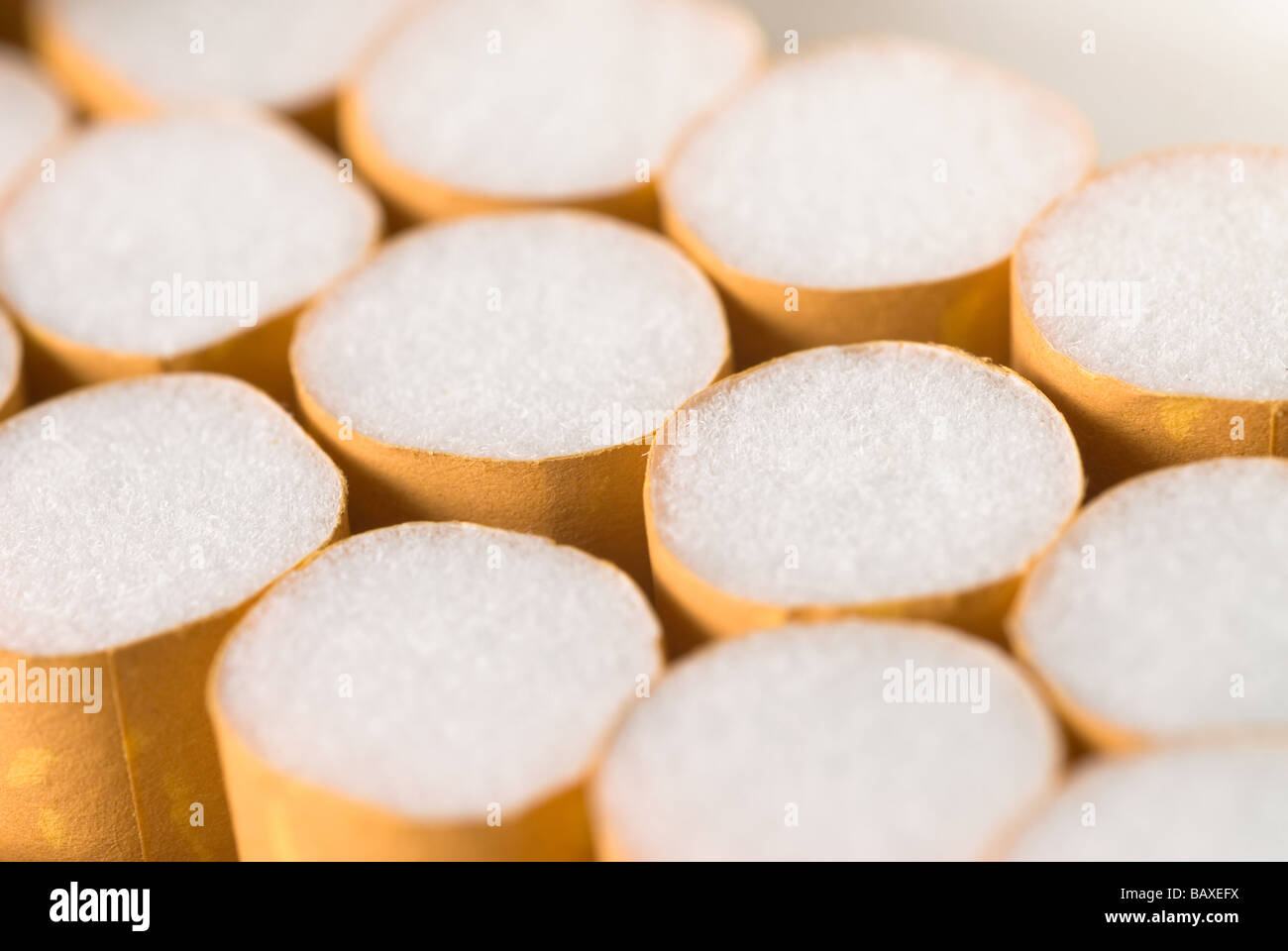 Rows of cigarettes showing the filtered ends Stock Photo - Alamy