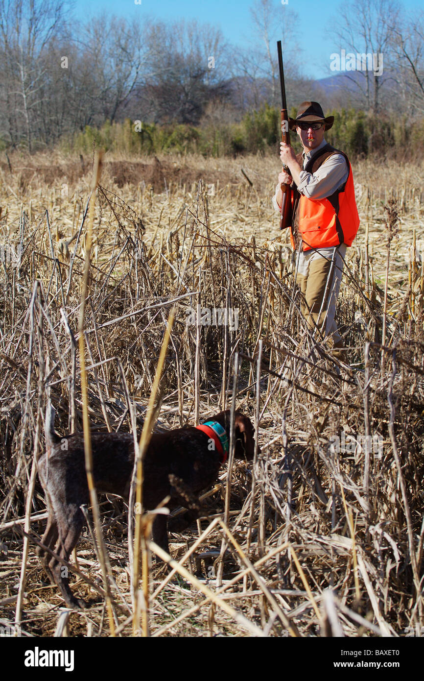 UPLAND BIRD HUNTER HOLDING GUN UPRIGHT WAITING FOR BIRD TO FLUSH AS ...