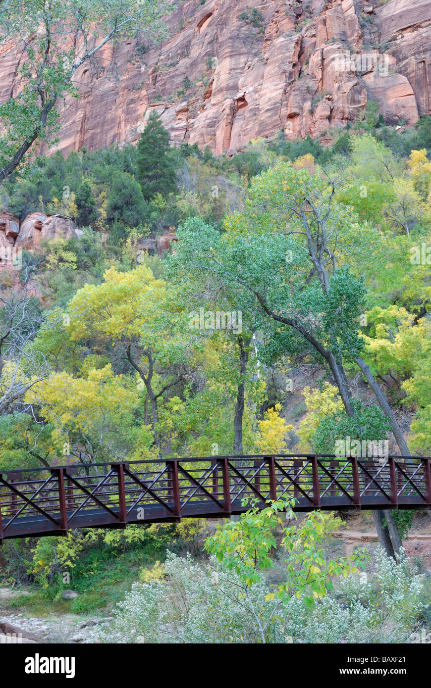 Foot bridge crossing the north fork of the Virgin river near Zion Lodge ...