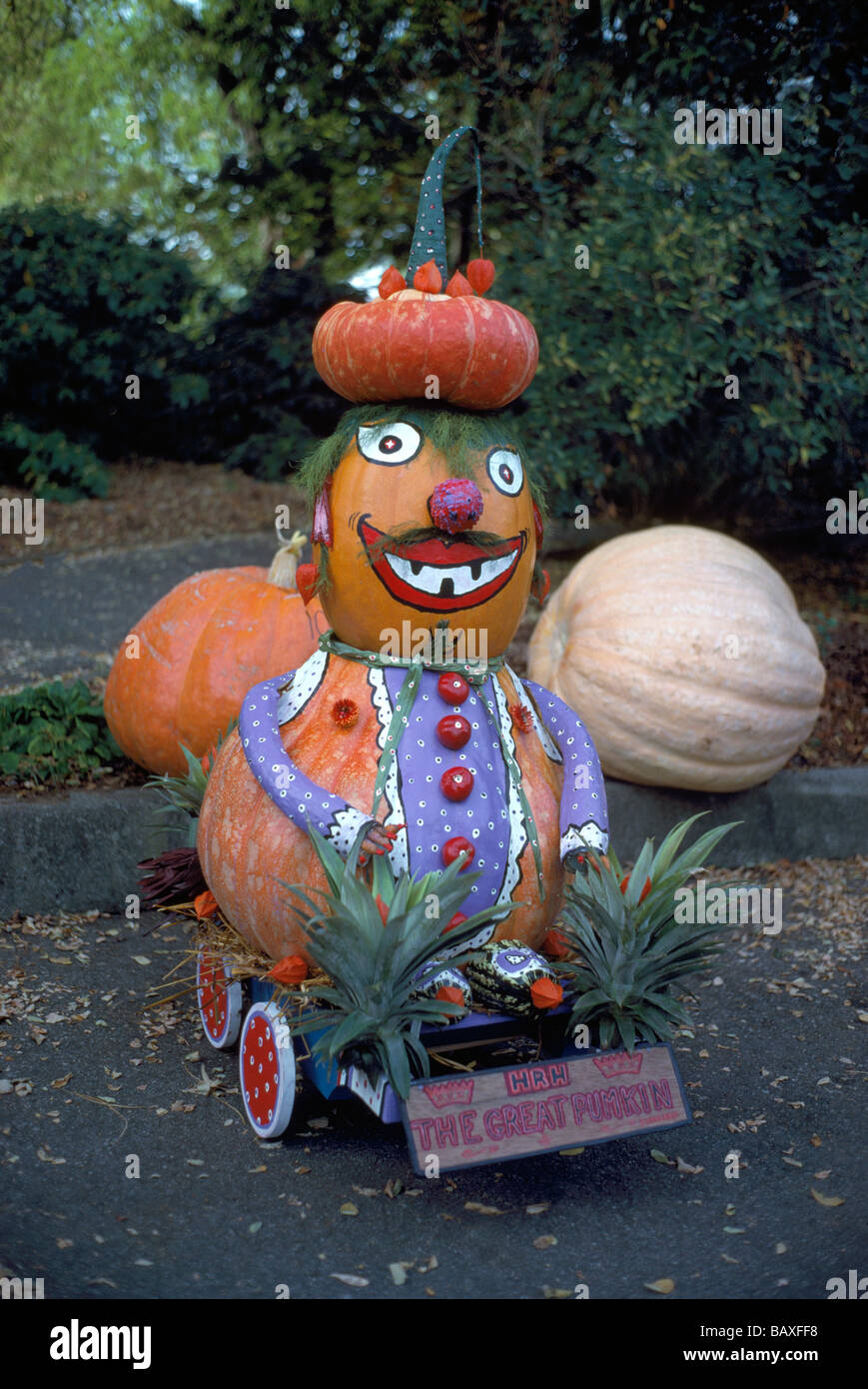 Large Decorated Pumpkin on Display at a Pumpkin Growing Contest ...