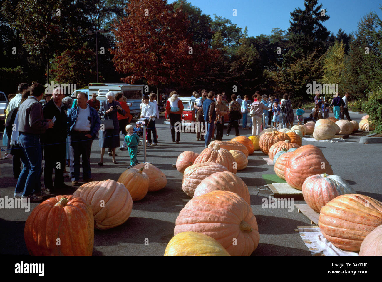 Vegetable growing competition hi-res stock photography and images - Alamy