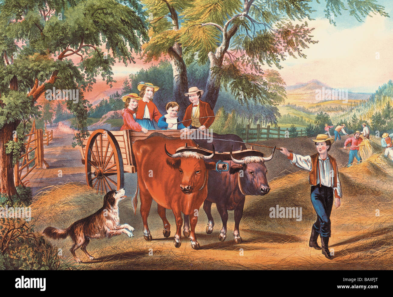 Haying time hi-res stock photography and images - Alamy