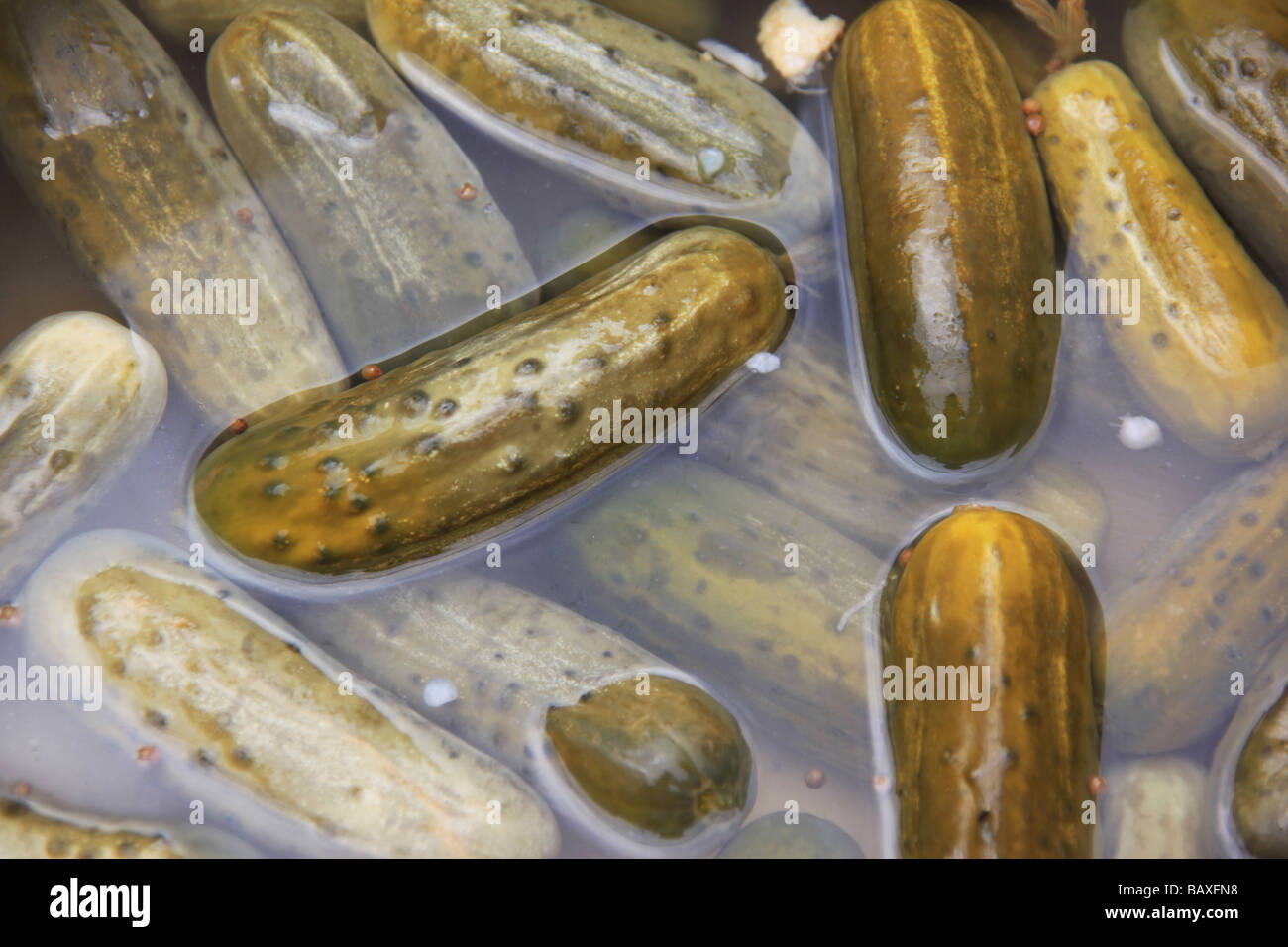 Vat of pickles in an open vat on display at a farmers market Stock ...