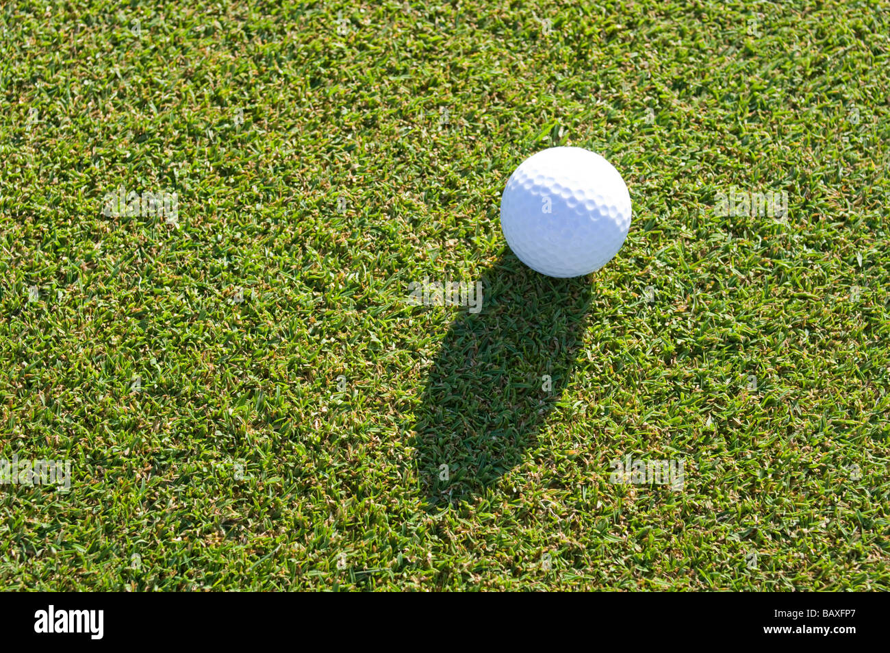 Golf ball on the course Stock Photo - Alamy