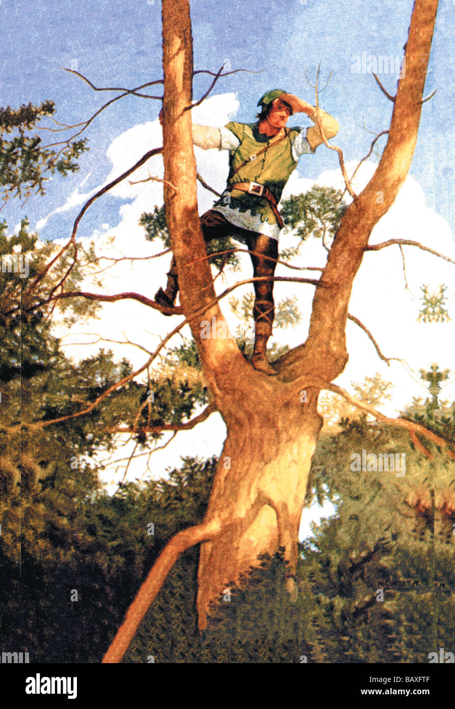 Crook Of Tree High Resolution Stock Photography and Images - Alamy