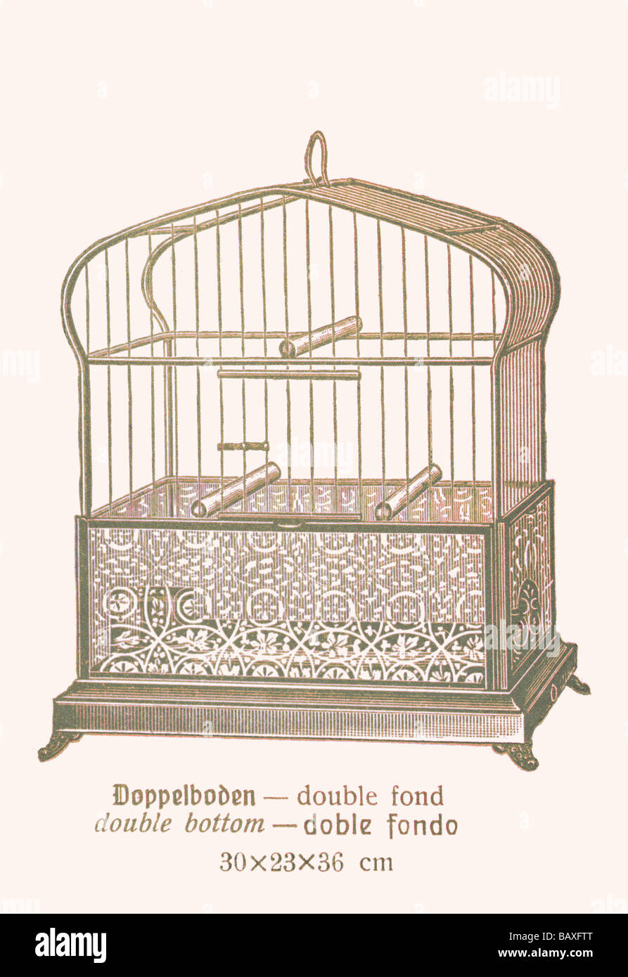 Ornate Green Bird Cage A Stock Photo - Alamy