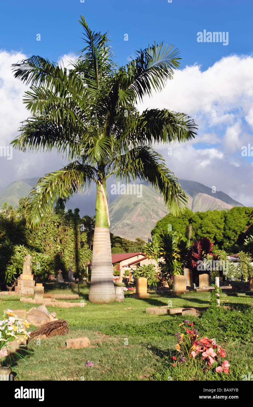 Lahaina, maui, hawaii cemetery hi-res stock photography and images - Alamy