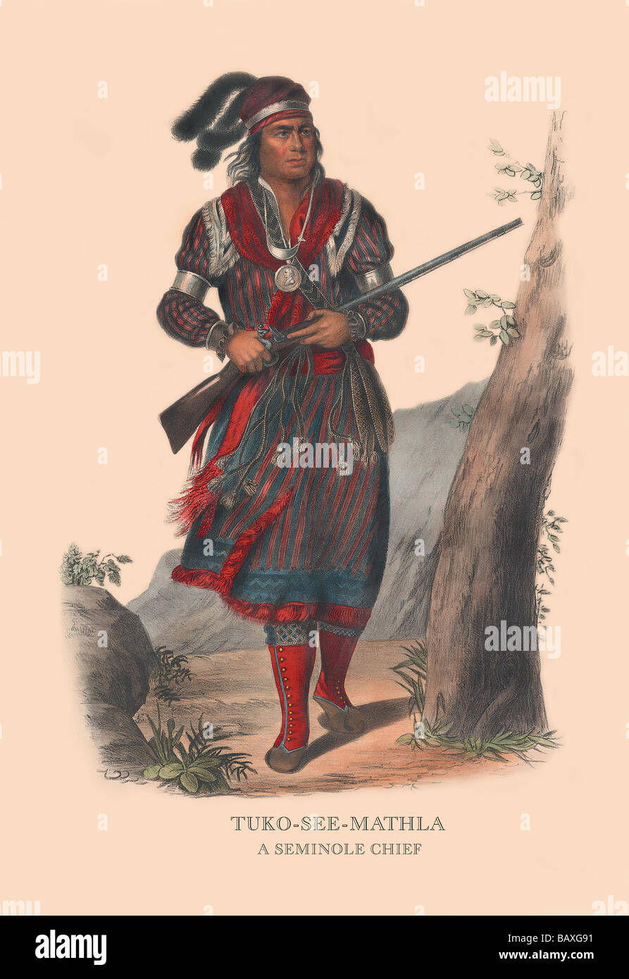 Seminole indian chief hi-res stock photography and images - Alamy