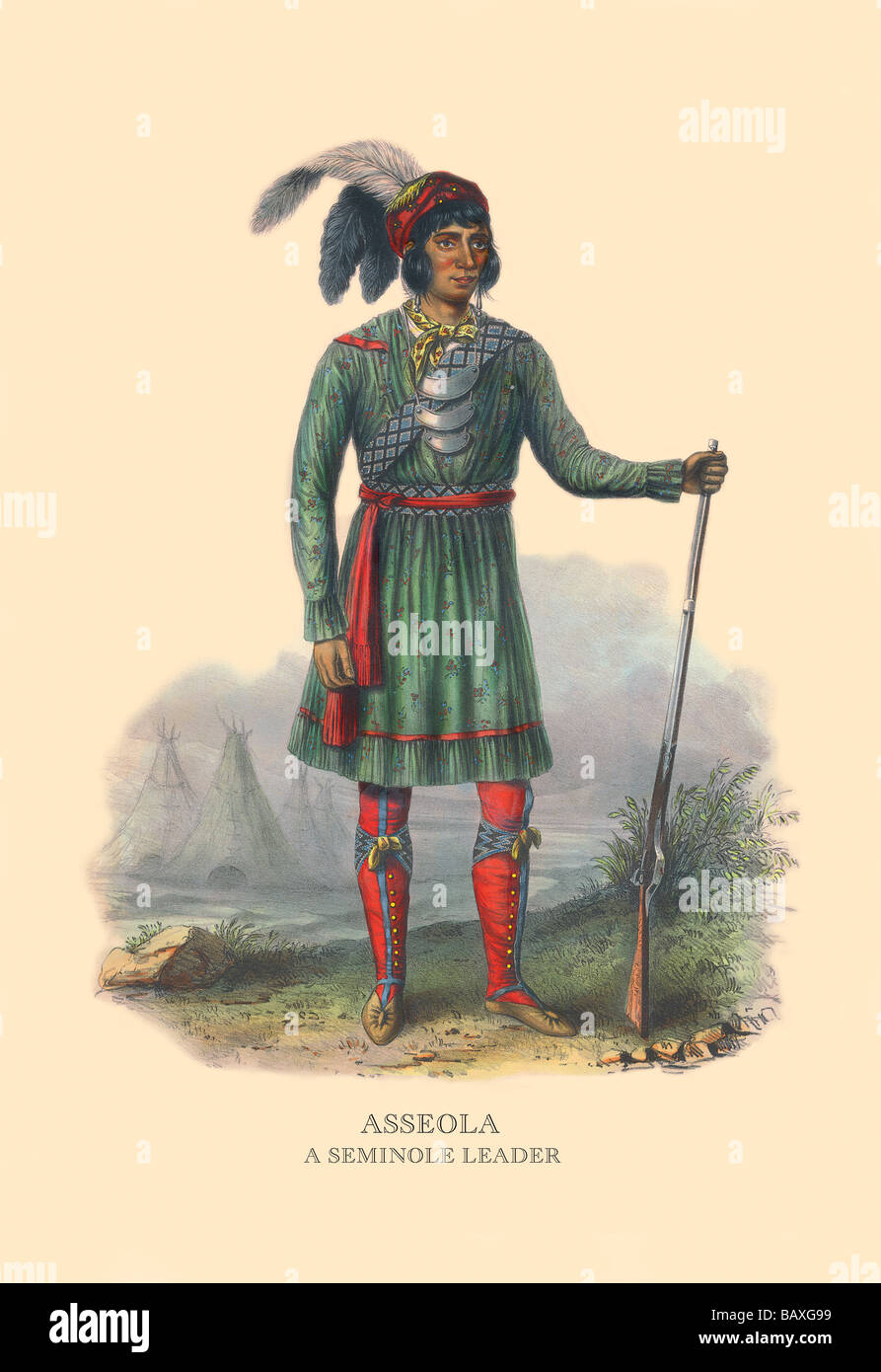 Seminole indian chief hi-res stock photography and images - Alamy