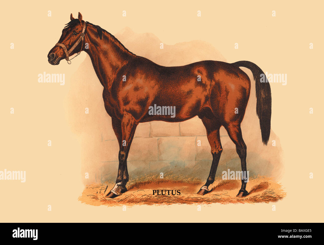 Plutus hi-res stock photography and images - Alamy