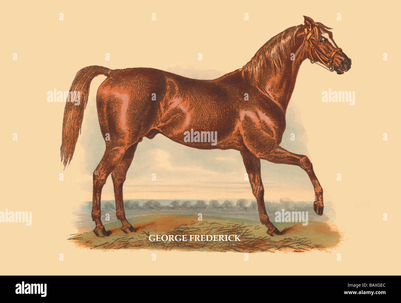 George spur hi-res stock photography and images - Alamy