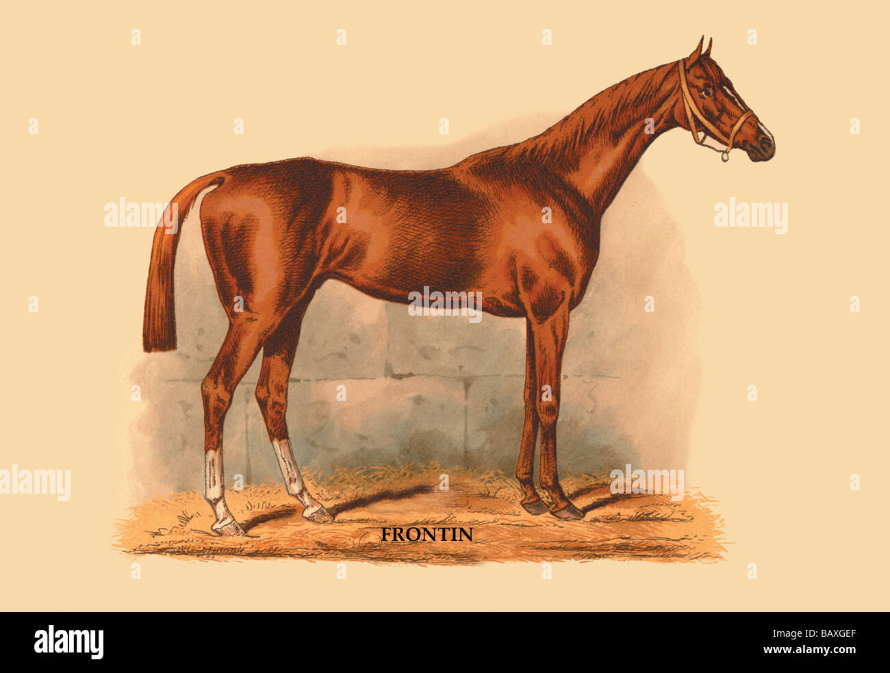 Frontin hi-res stock photography and images - Alamy