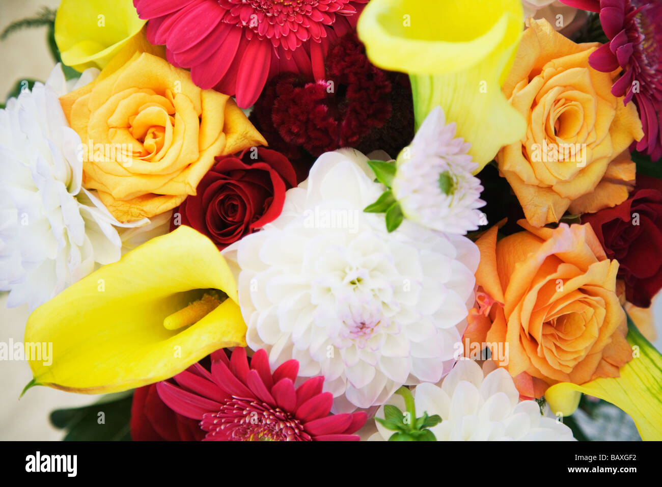 Close up of flower bouquet Stock Photo - Alamy