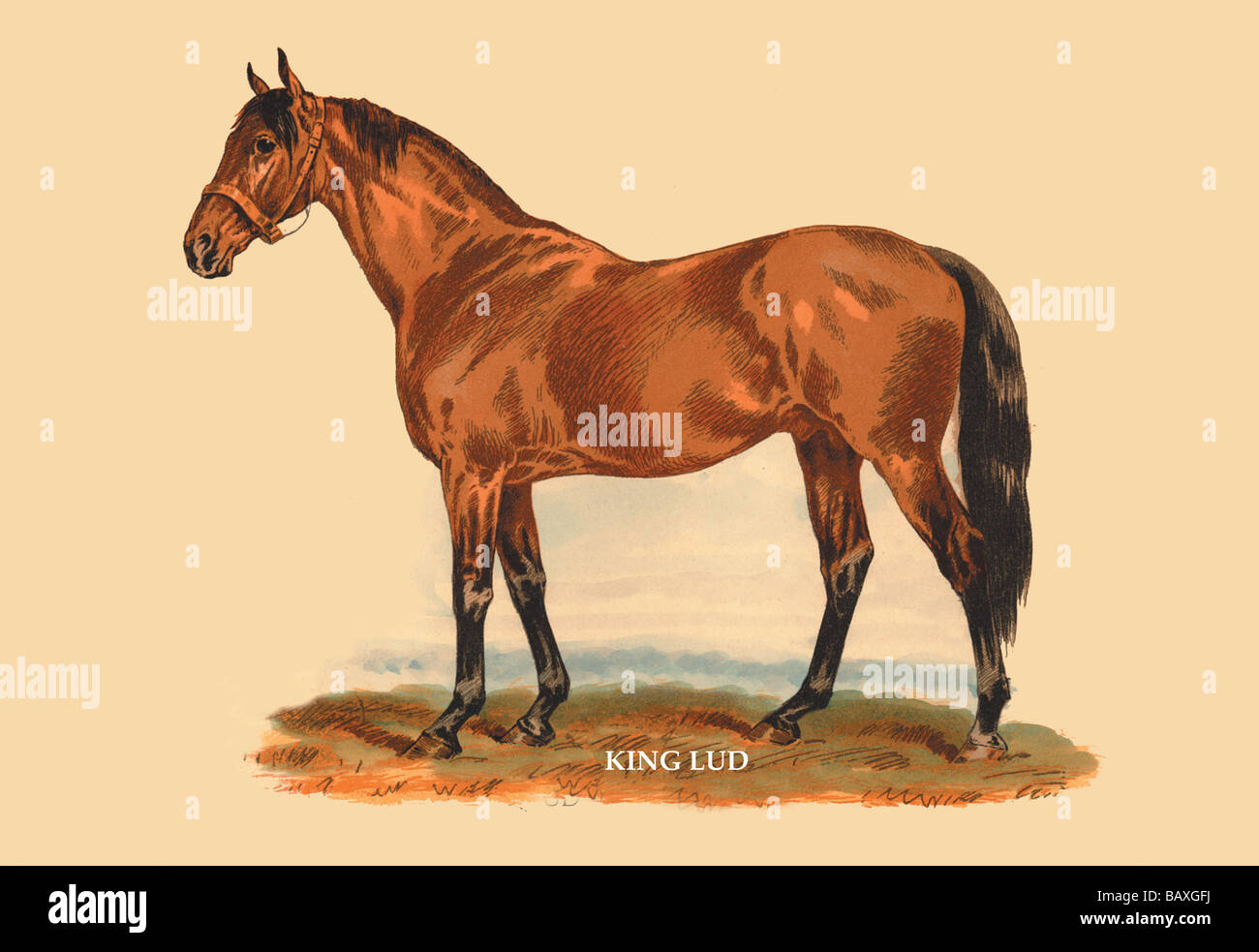 King lud hi-res stock photography and images - Alamy