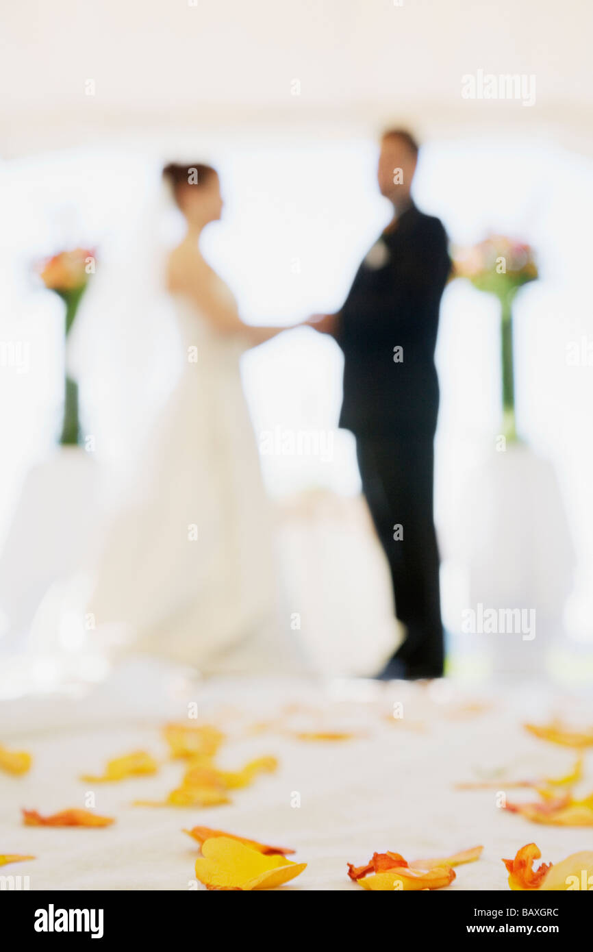 Multi-ethnic couple getting married Stock Photo - Alamy