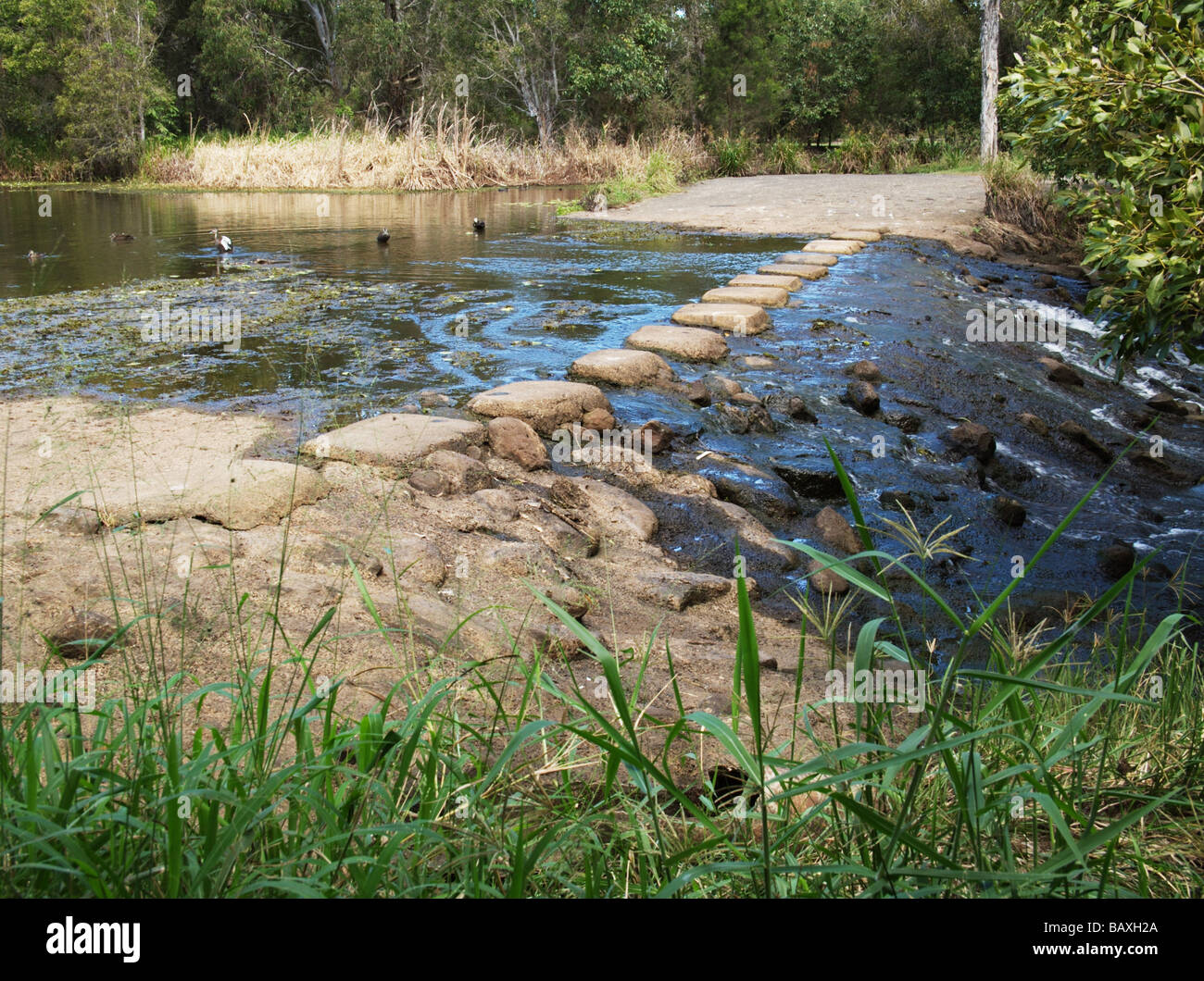 Baldwin swamp hi-res stock photography and images - Alamy