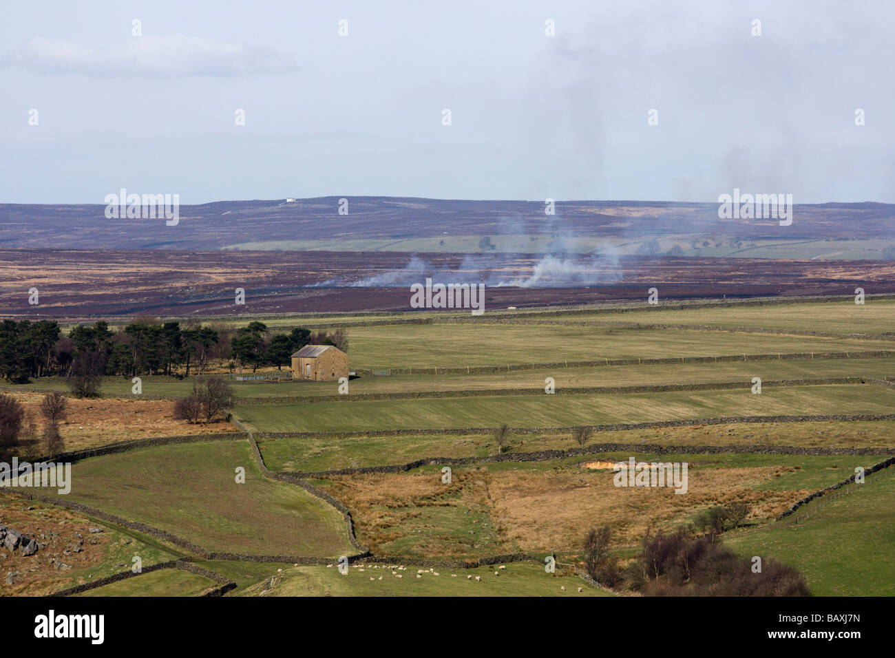 Controlled burning in the Yorkshire countryside Stock Photo - Alamy