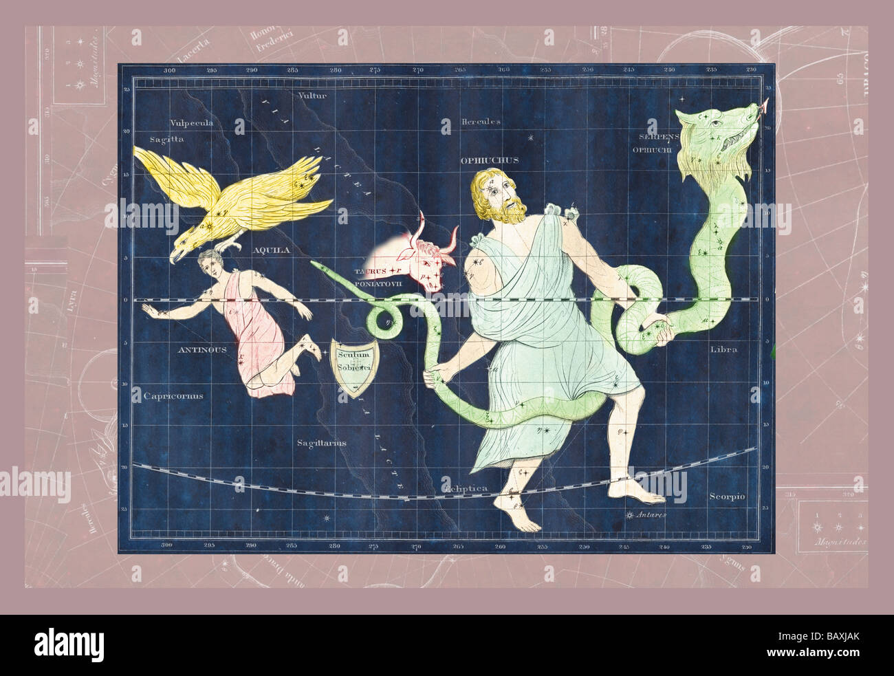 Ophiuchus hi-res stock photography and images - Alamy