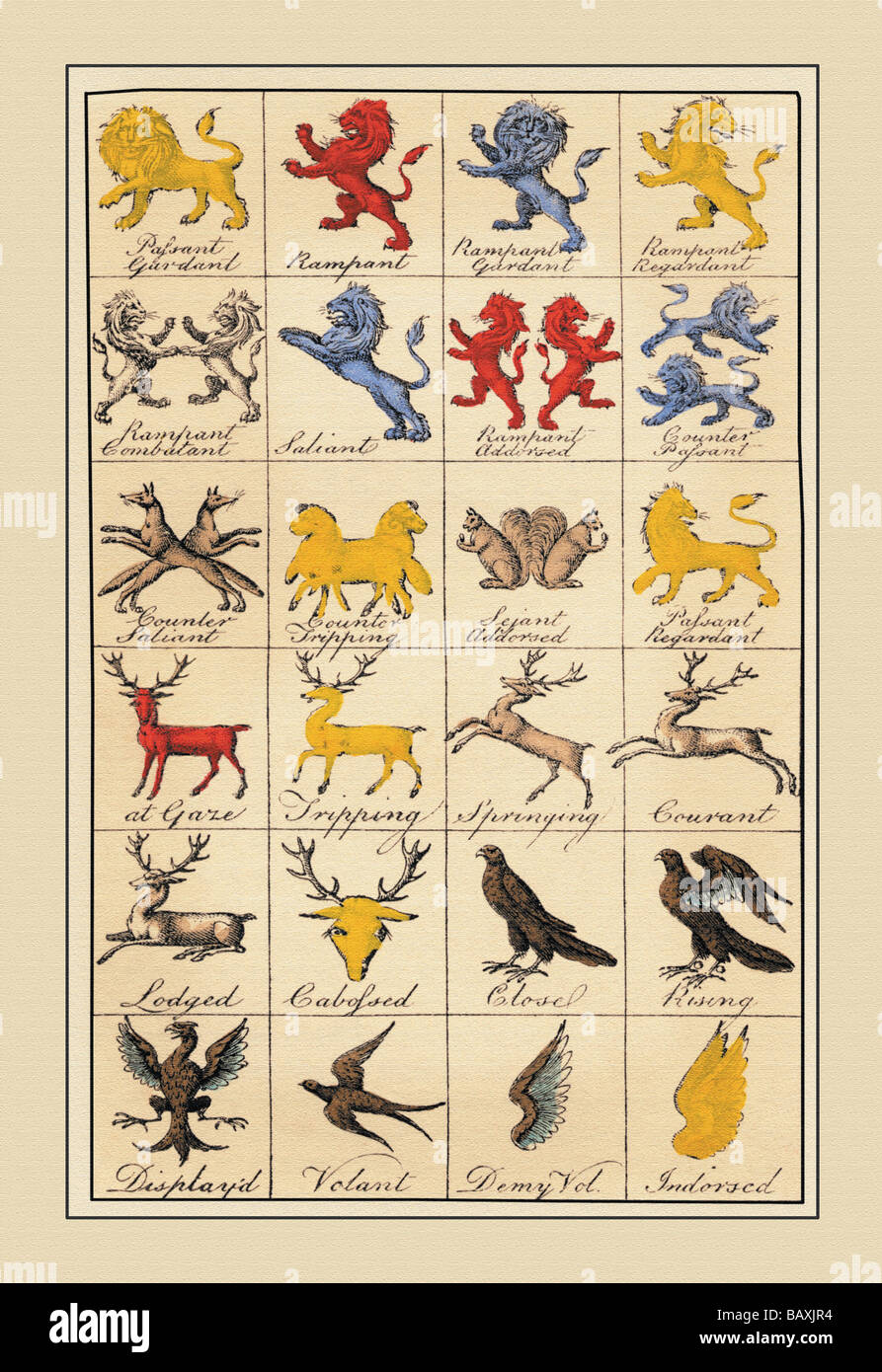 Heraldry hi-res stock photography and images - Alamy