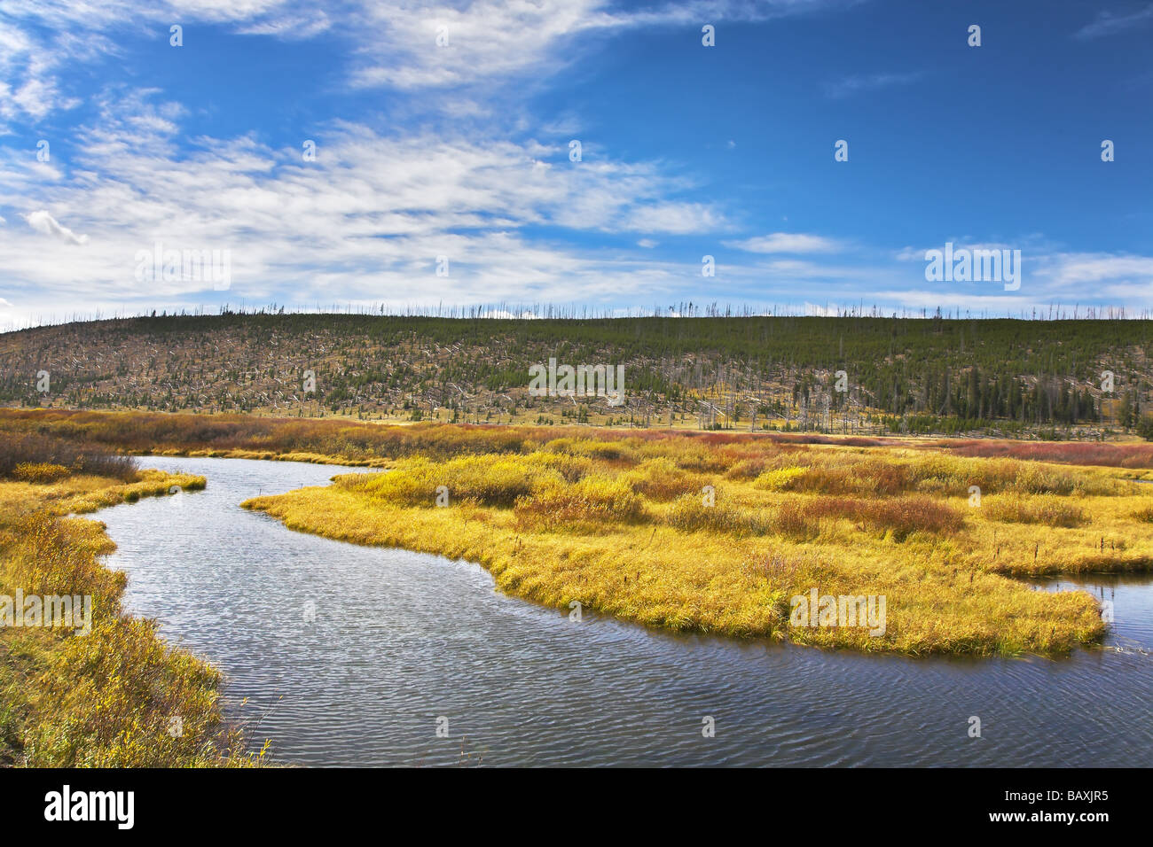 Marshy plain hi-res stock photography and images - Alamy
