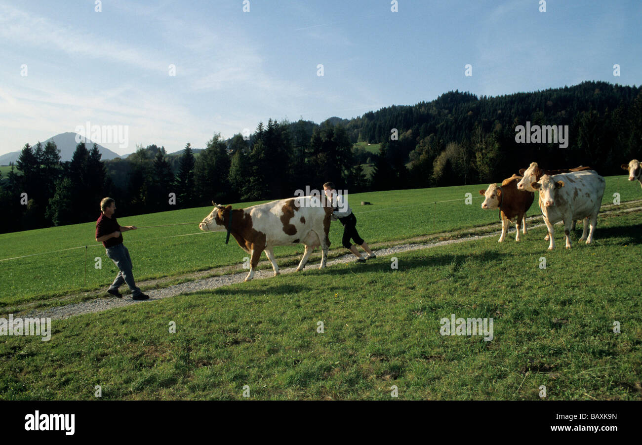 Farmer germany hi-res stock photography and images - Alamy