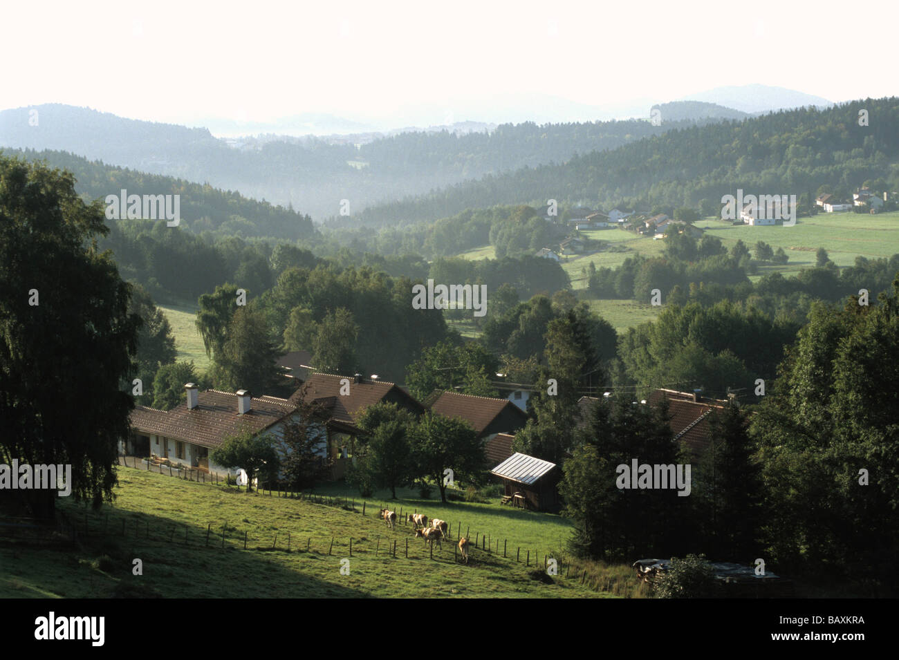 Grafenau hi-res stock photography and images - Alamy