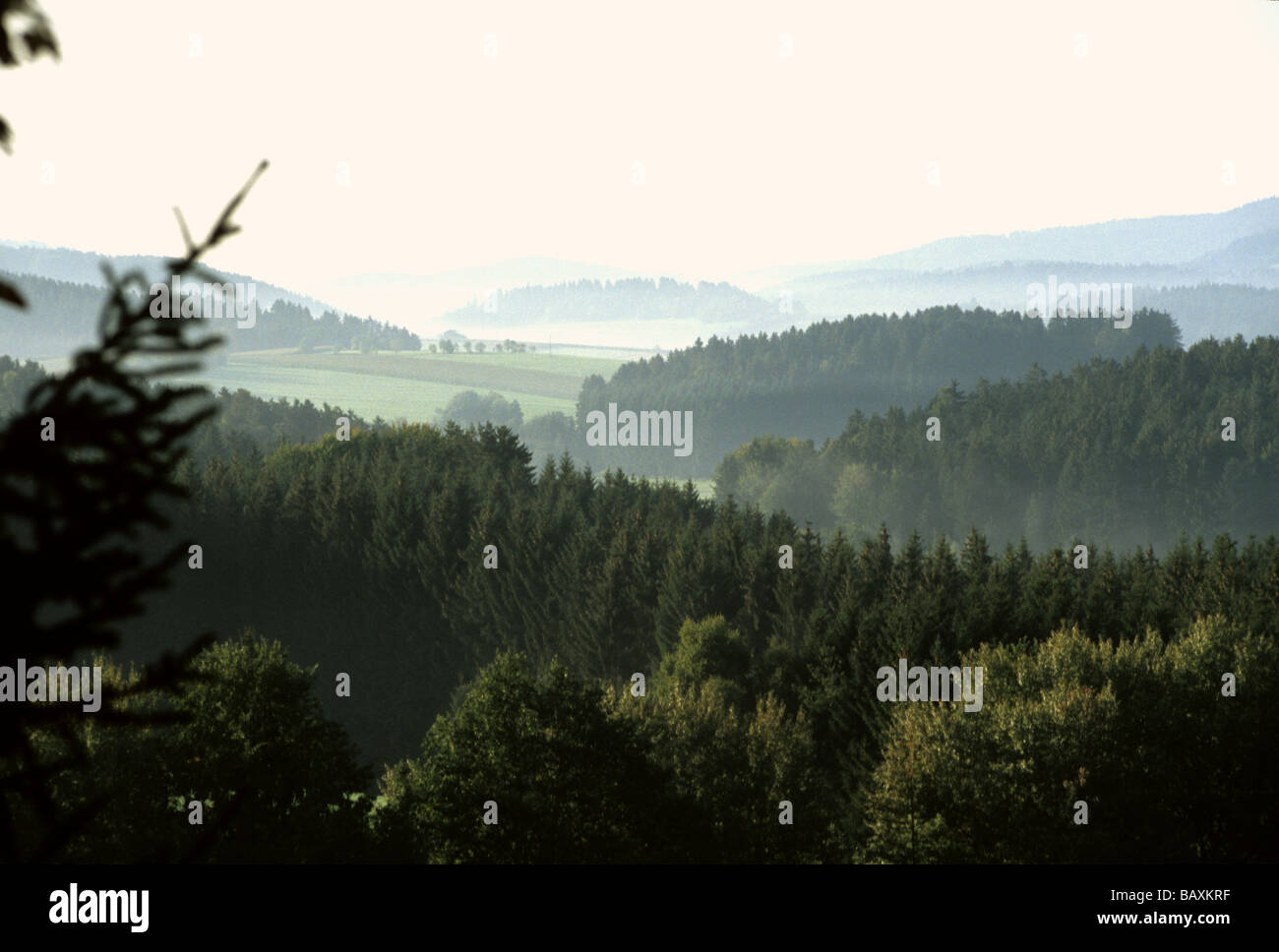 Grafenau hi-res stock photography and images - Alamy