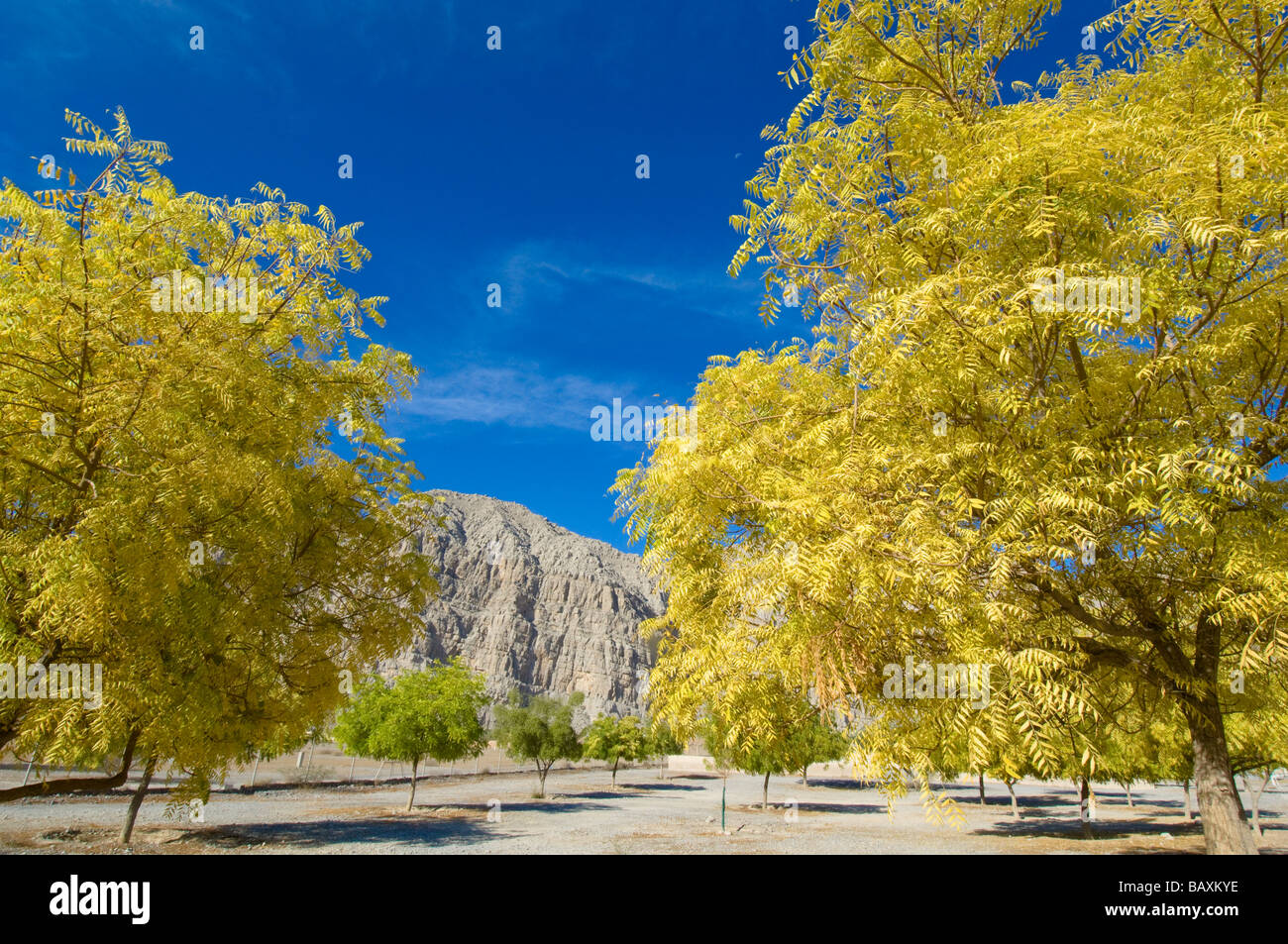 Mountain landscape with trees, Hajjar mountains, Kashab, Khasab ...