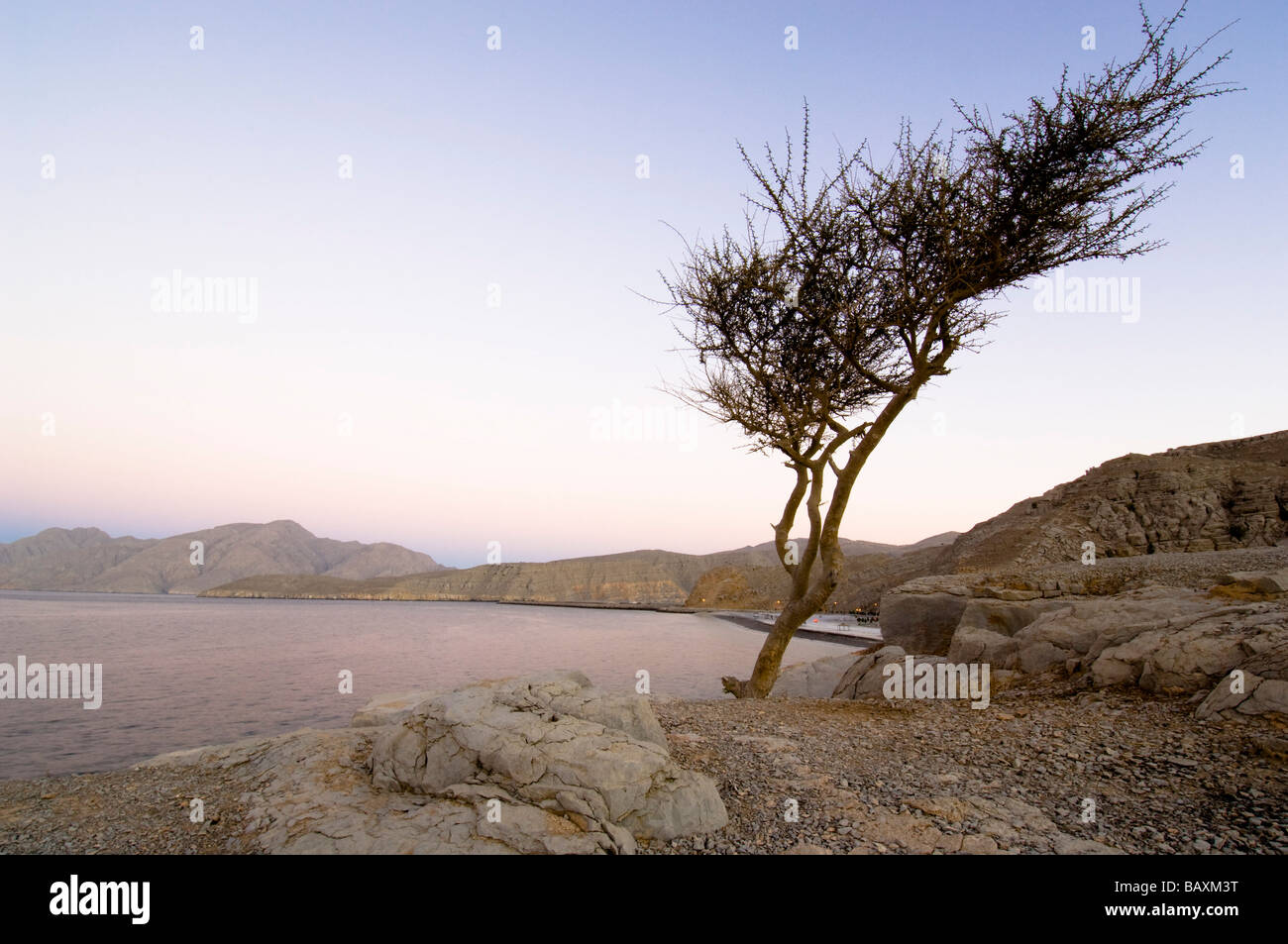 Coastal landscape with bush, Kashab, Khasab, Musandam, Oman Stock Photo ...
