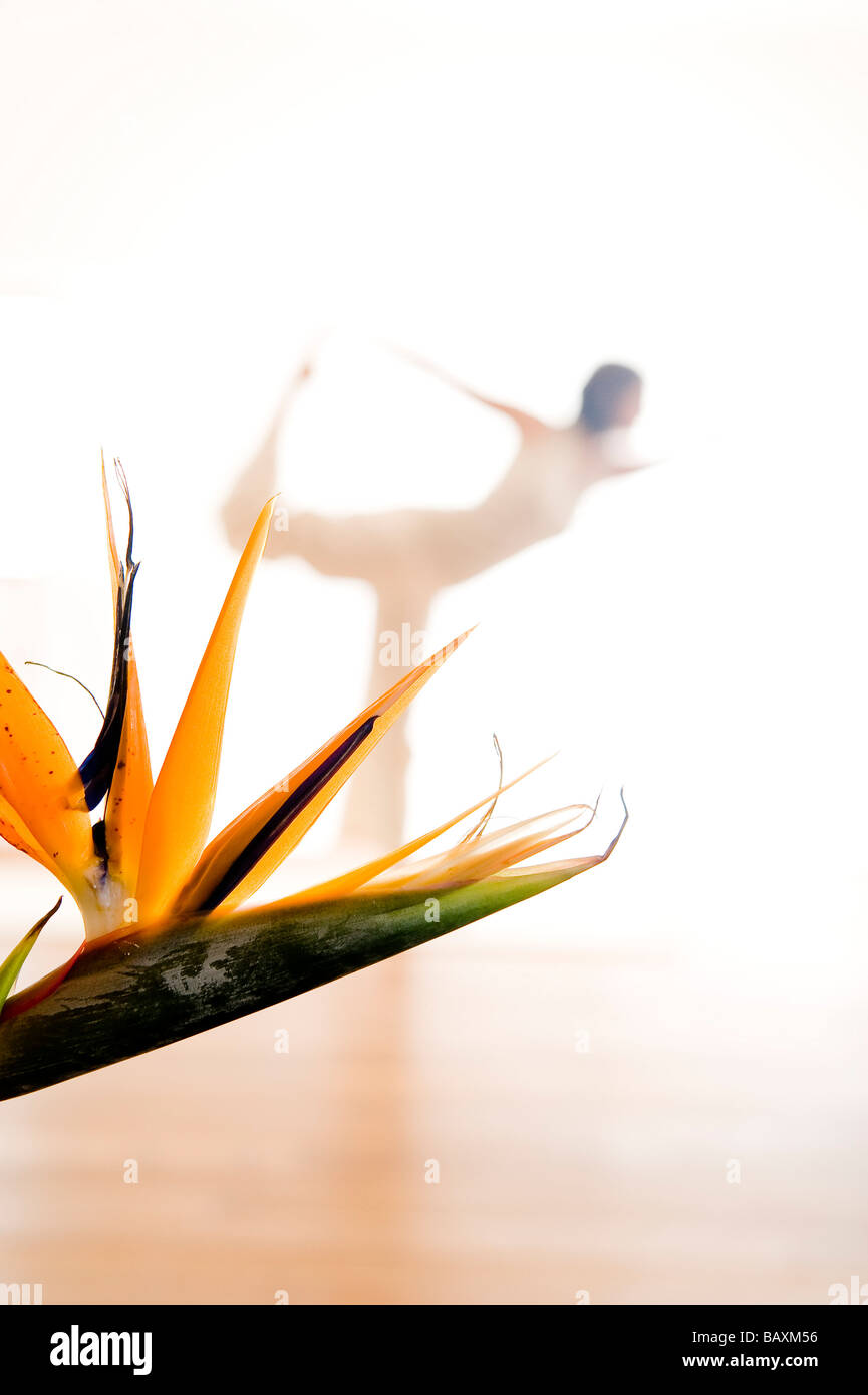 Mid adult woman practising yoga, Bird of Paradise Flower in foreground ...