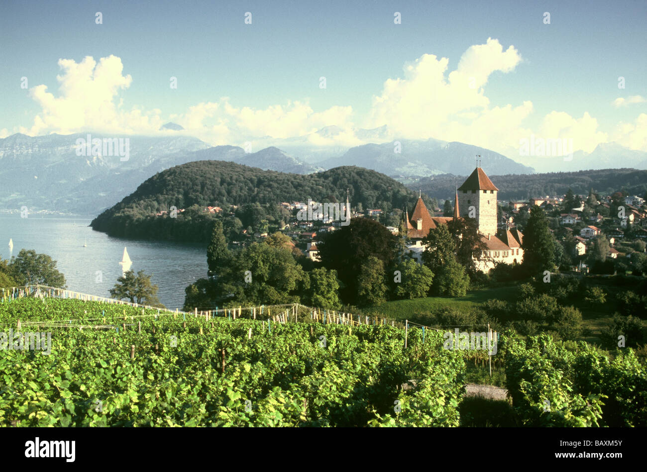 Spiez with Spiez castle at Lake Thun, Bernese Oberland, Switzerland ...