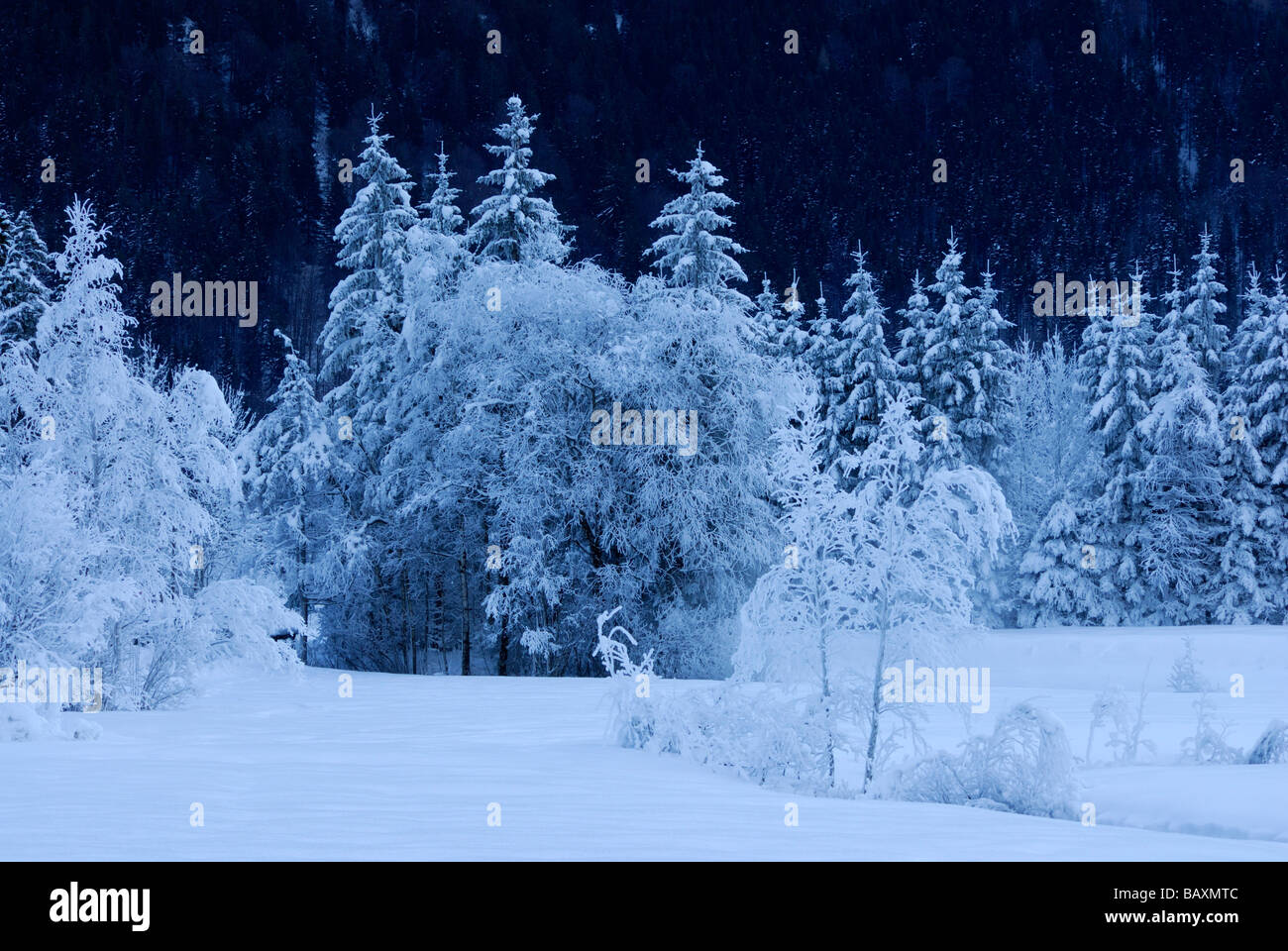 Amm hi-res stock photography and images - Alamy