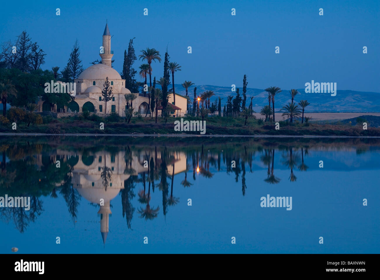 Sultan mosque palm trees in hi-res stock photography and images - Alamy