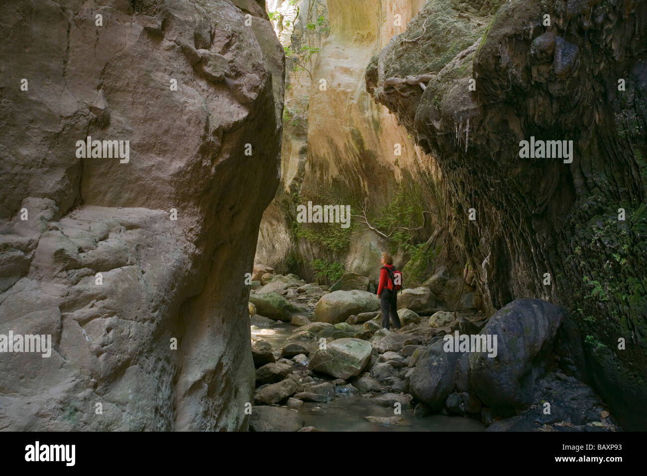 Akamas nature reserve hi-res stock photography and images - Alamy