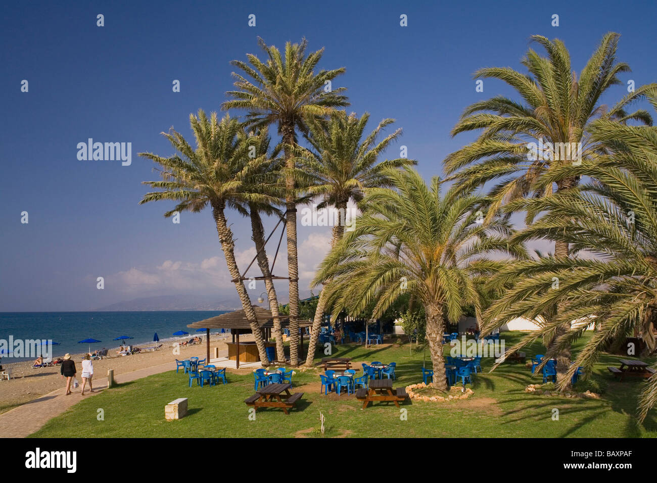 Beach with palm trees, Latsi, near Polis, Cyprus Stock Photo - Alamy