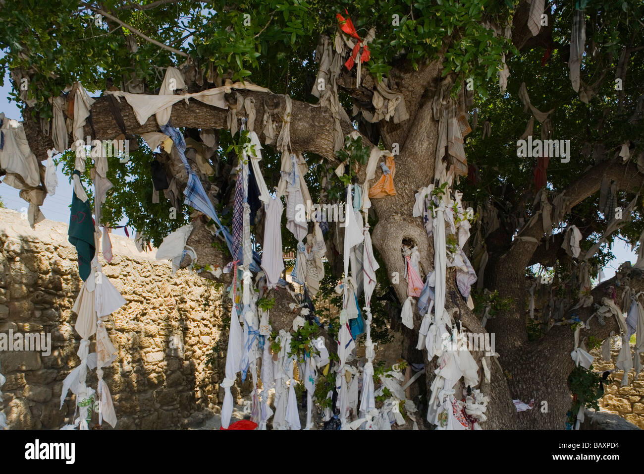 Tree of desires at Agia Solomoni, cave church carved out of limestone ...
