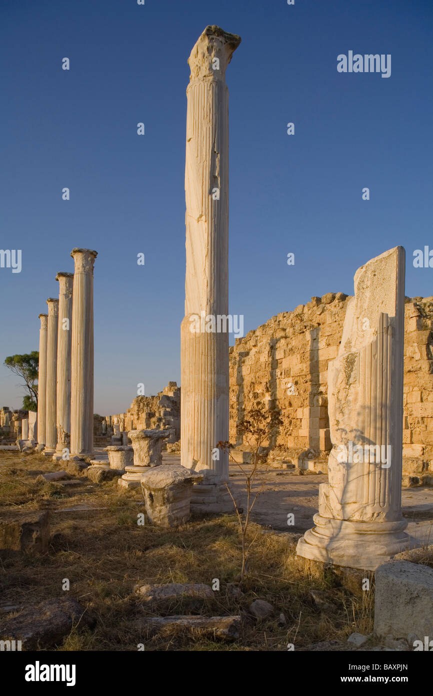 Gymnasium with its columned Palaestra, Ancient city of Salamis ...