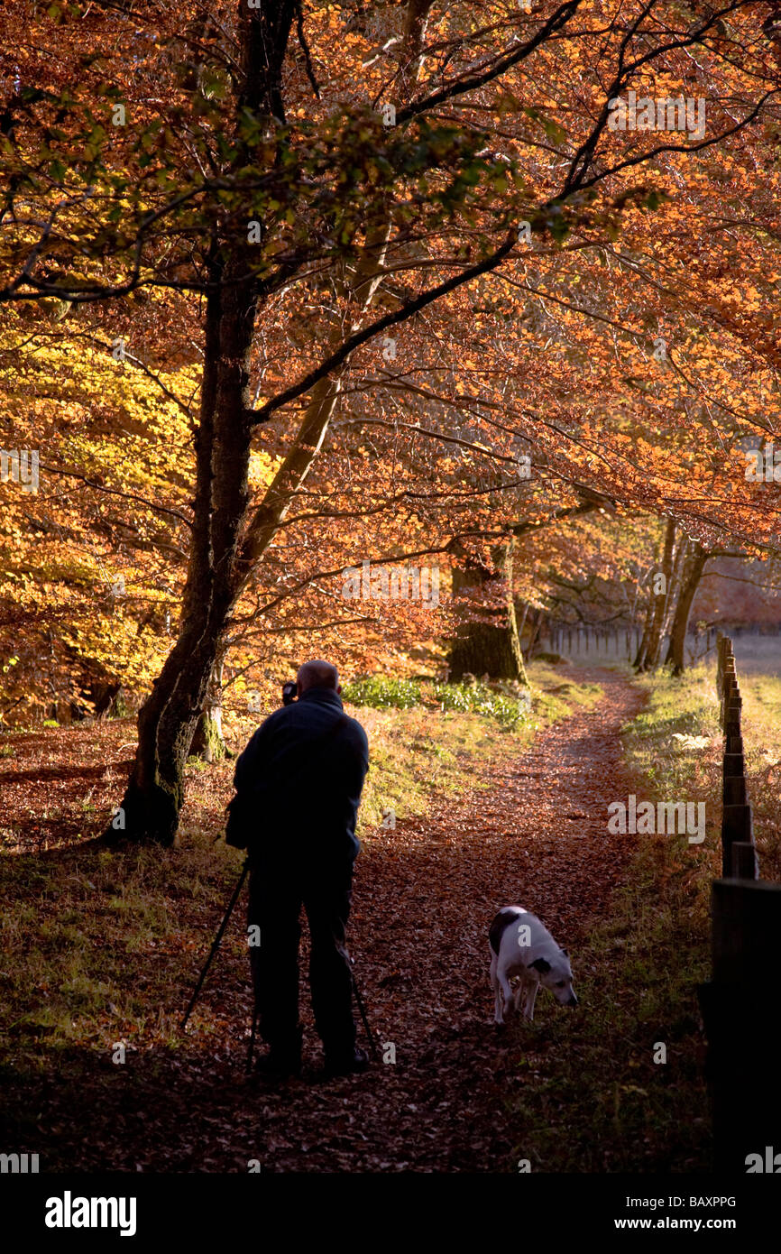 Photographer capturing the Autumn colour in a country path, Scotland ...
