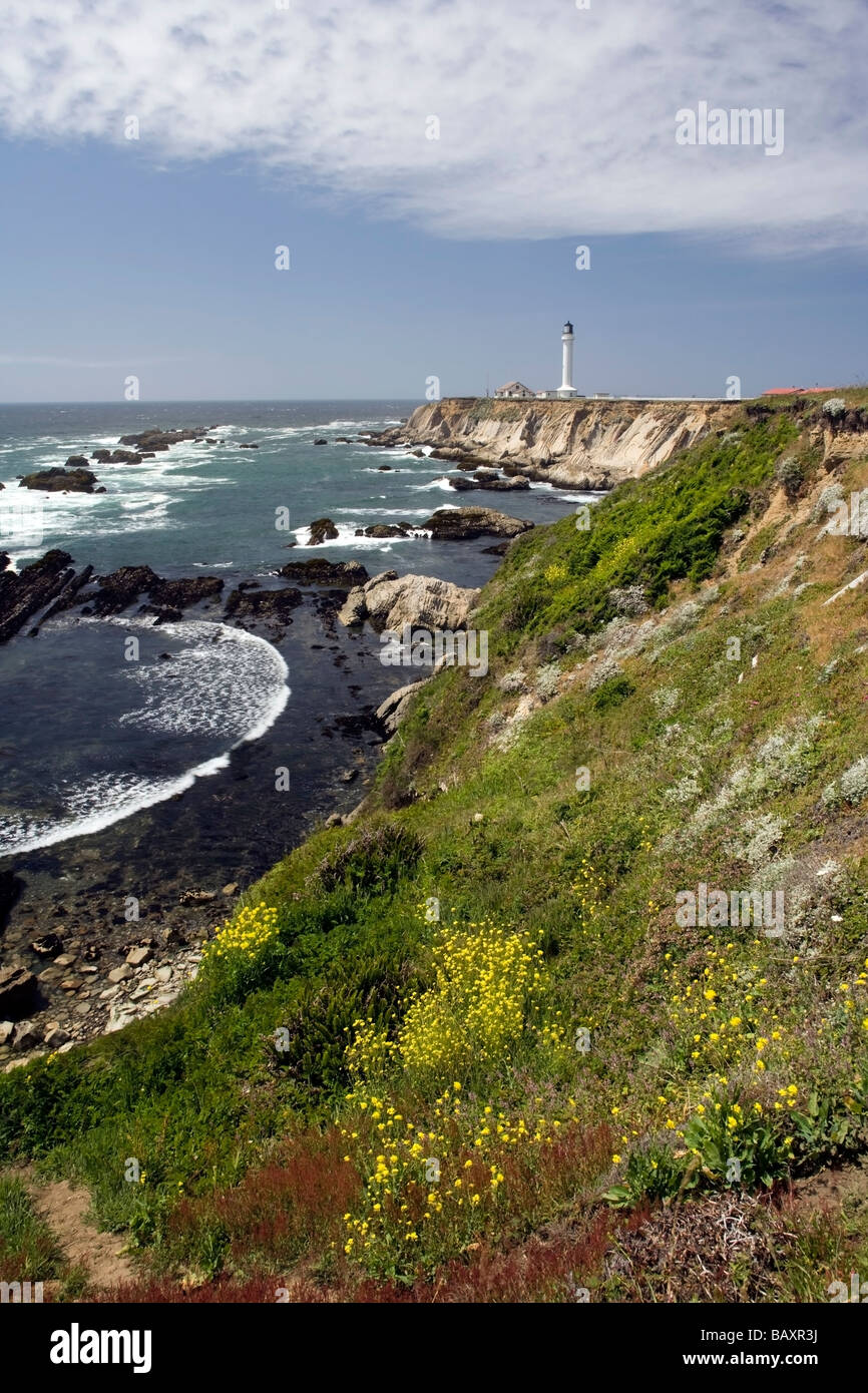 Point Arena Lighthouse - Point Arena, California Stock Photo - Alamy