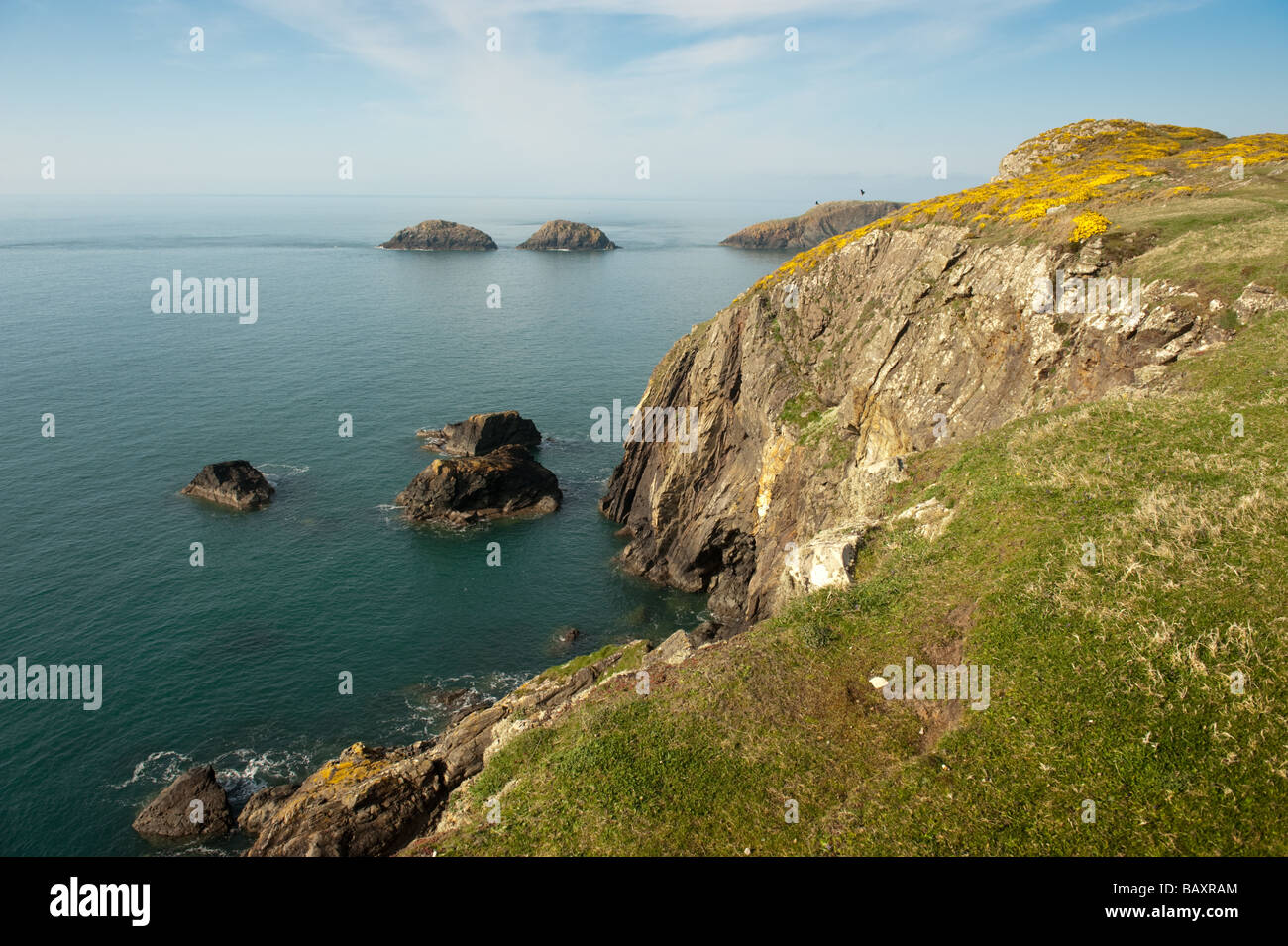 Looking north to Cerrig Gwylan rocks and cliffs of the Pembrokeshire ...