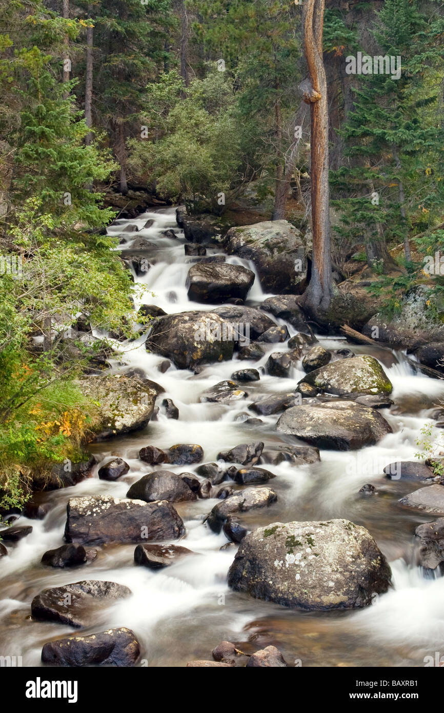 Waterfall / Cascading creek - Rocky Mountain National Park - Estes Park ...